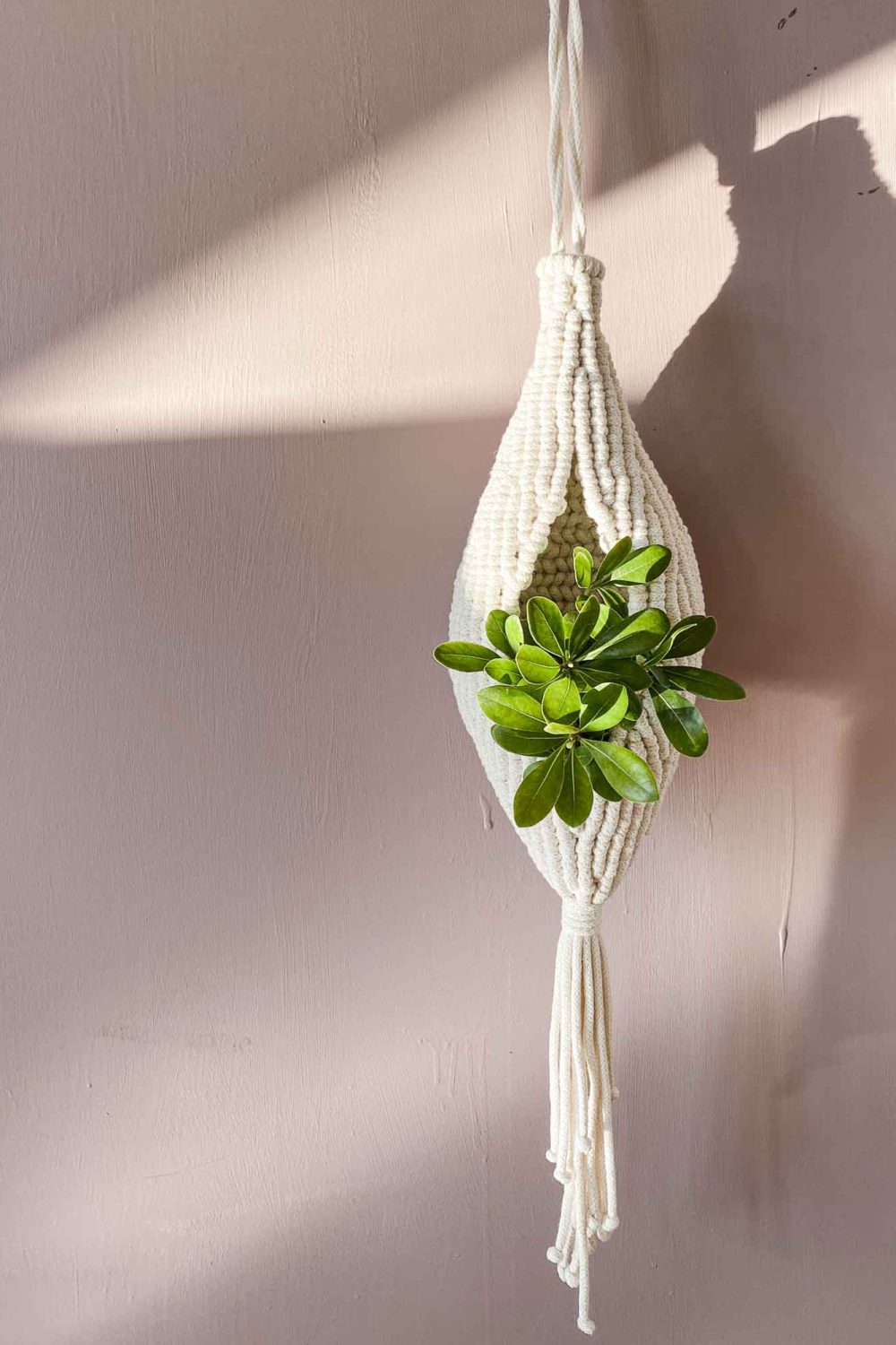 Curious Craft Studio • Contemporary macrame design, tutorials & how-to kits